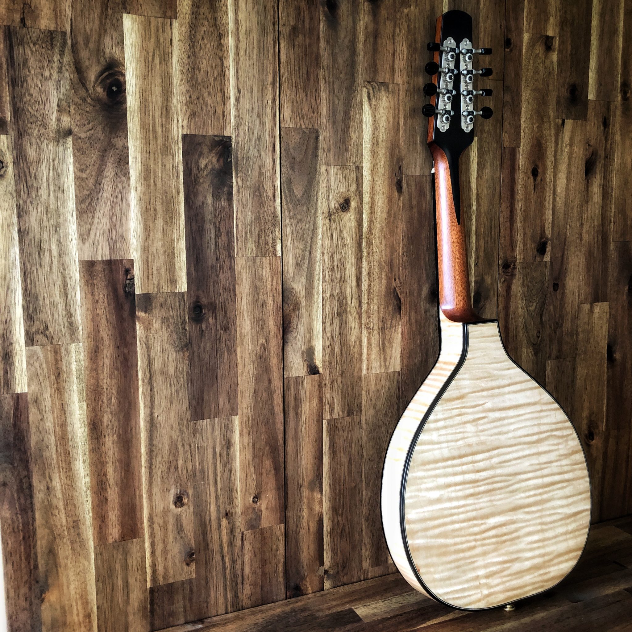 Celtic mandolins, 2021 batch - last two spots available - NK Forster ...